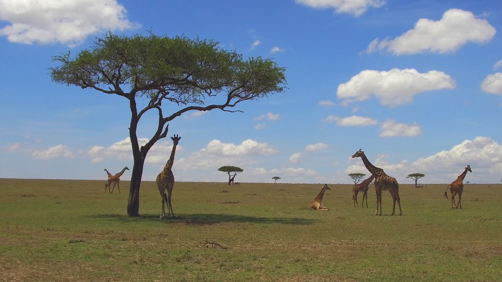 Biomes course Archives - Geodiode