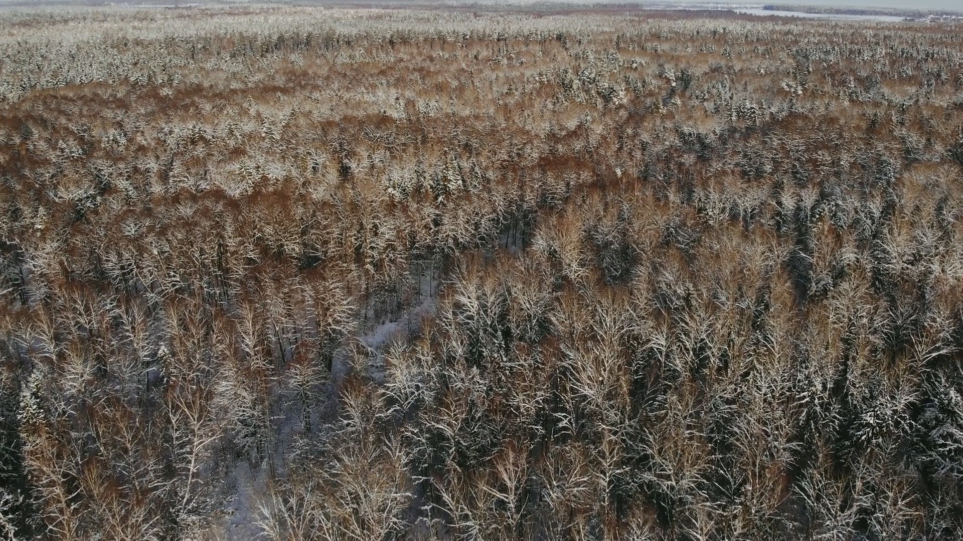 Biomes course Archives - Geodiode