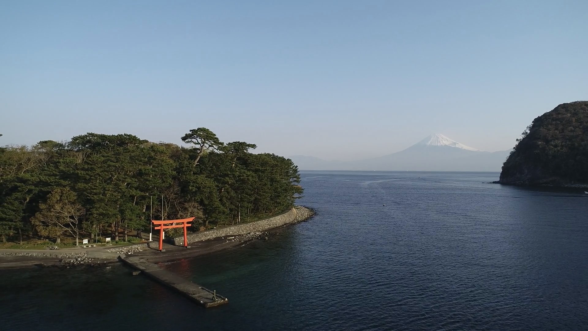 Biomes course Archives - Geodiode