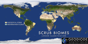 Shrublands (3) – Geodiode