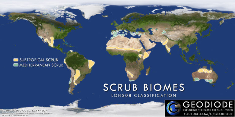 Shrublands (3) – Geodiode
