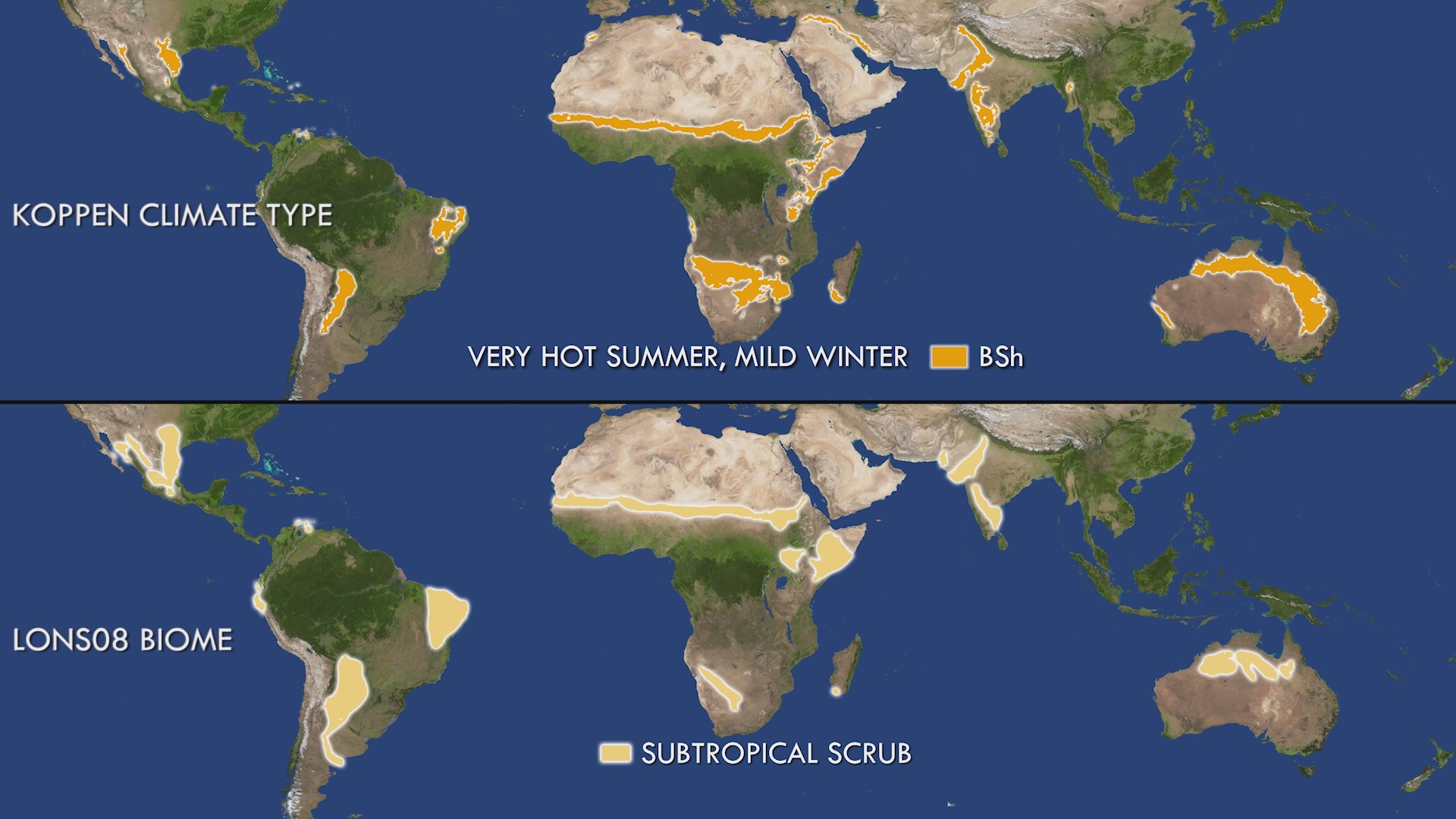 Shrublands (3) – Geodiode