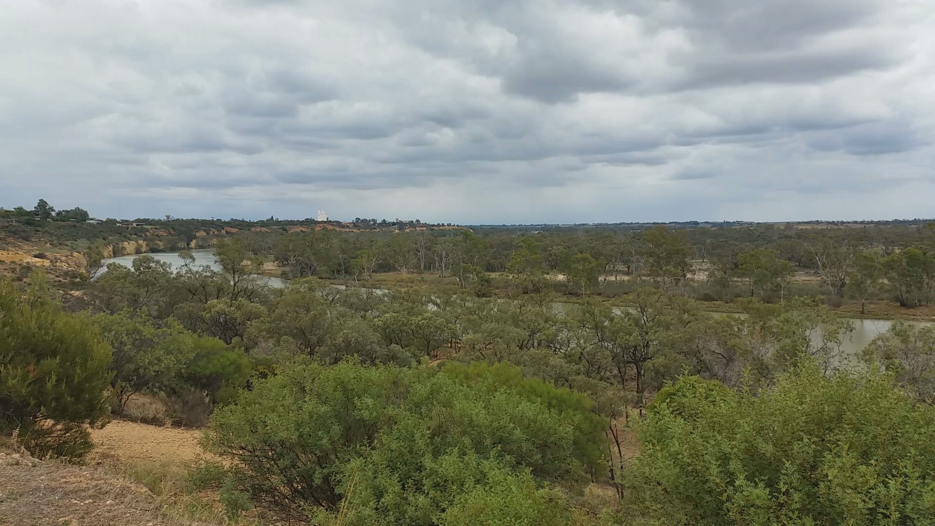 Shrublands (3) – Geodiode